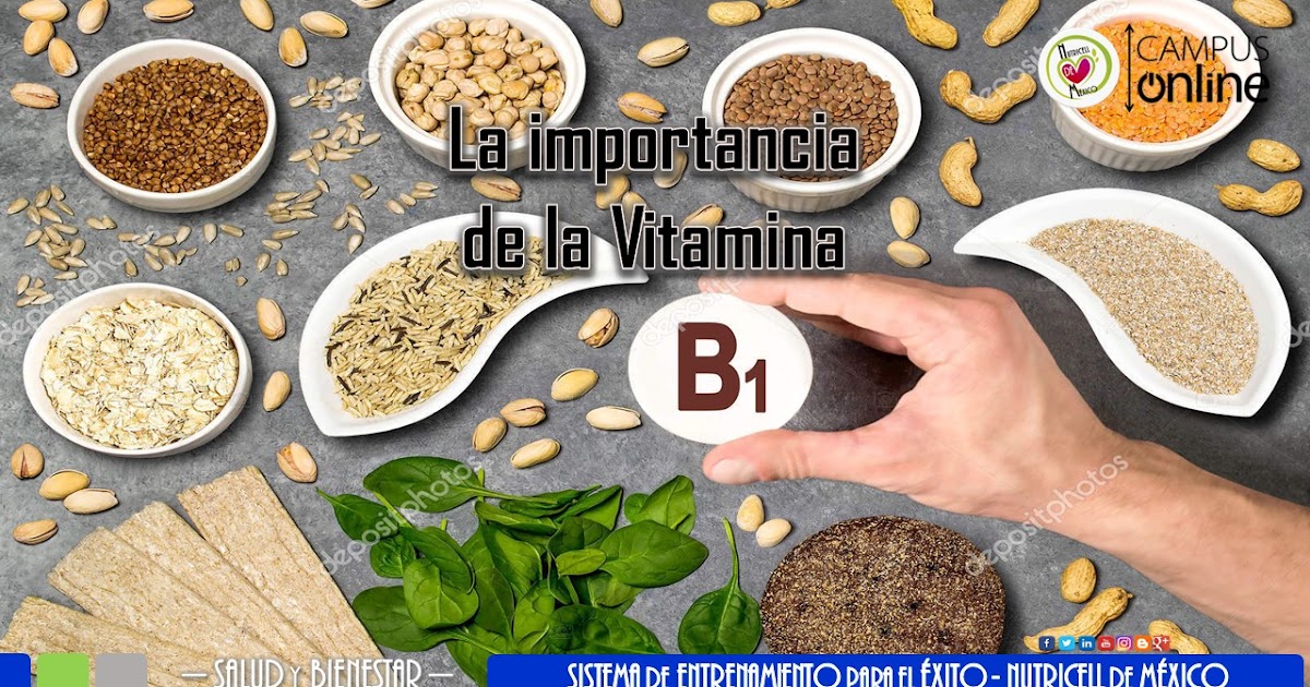 Nutricell International Company: LA IMPORTANCIA DE LA VITAMINA B1