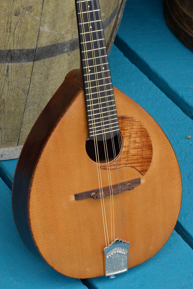 c.2009 Gypsy's Music Teardrop Mandolin