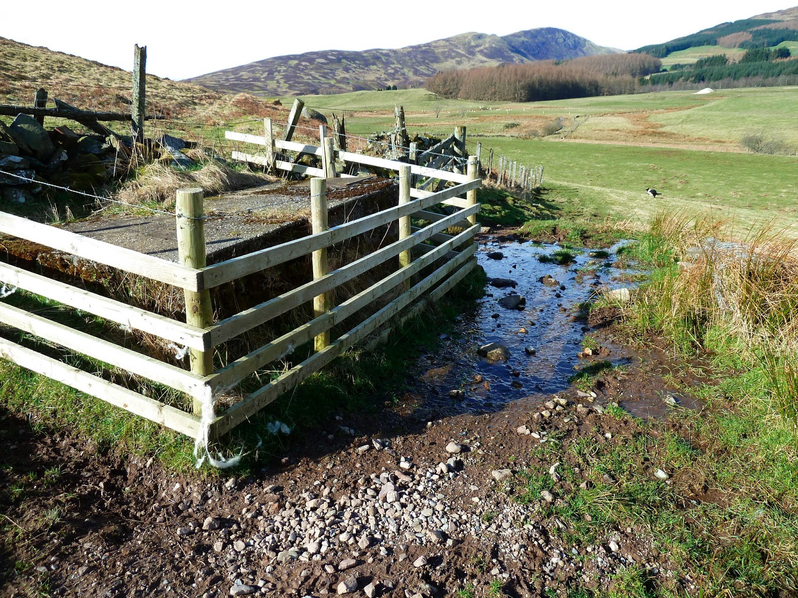 The farm at the back of beyond: May 2013