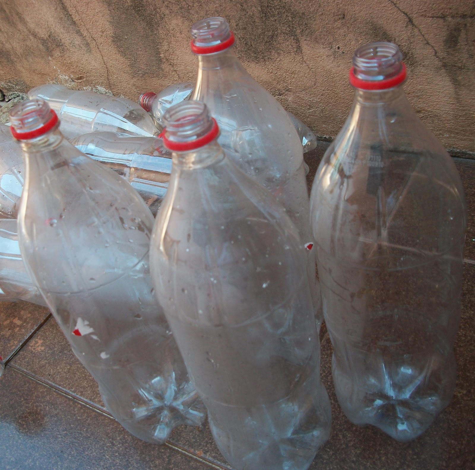 Professora Rê: Reciclagem de Garrafa Pet