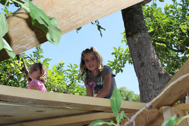 LIVE.... LAUGH.... LOVE ....: the tree fort