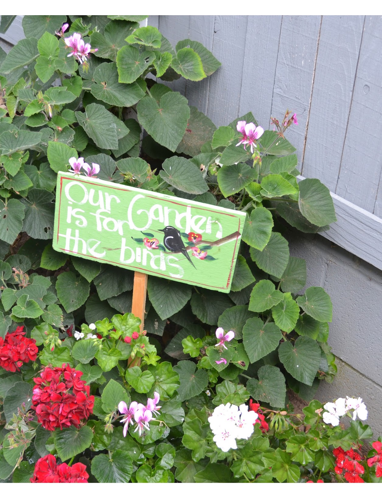 My Painted Garden: Adding Pops of Color and "Water-Wise" Garden Flowers