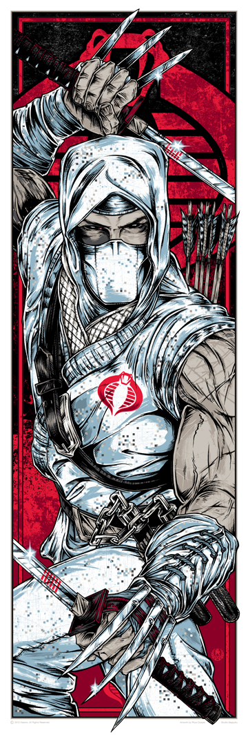 CollecTwins: Chasing Storm Shadow