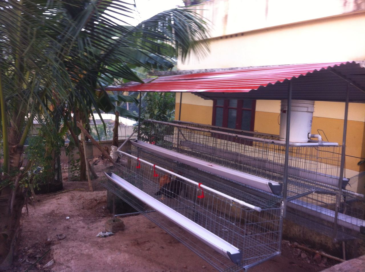 HighTech Poultry cages suppliers in kerala