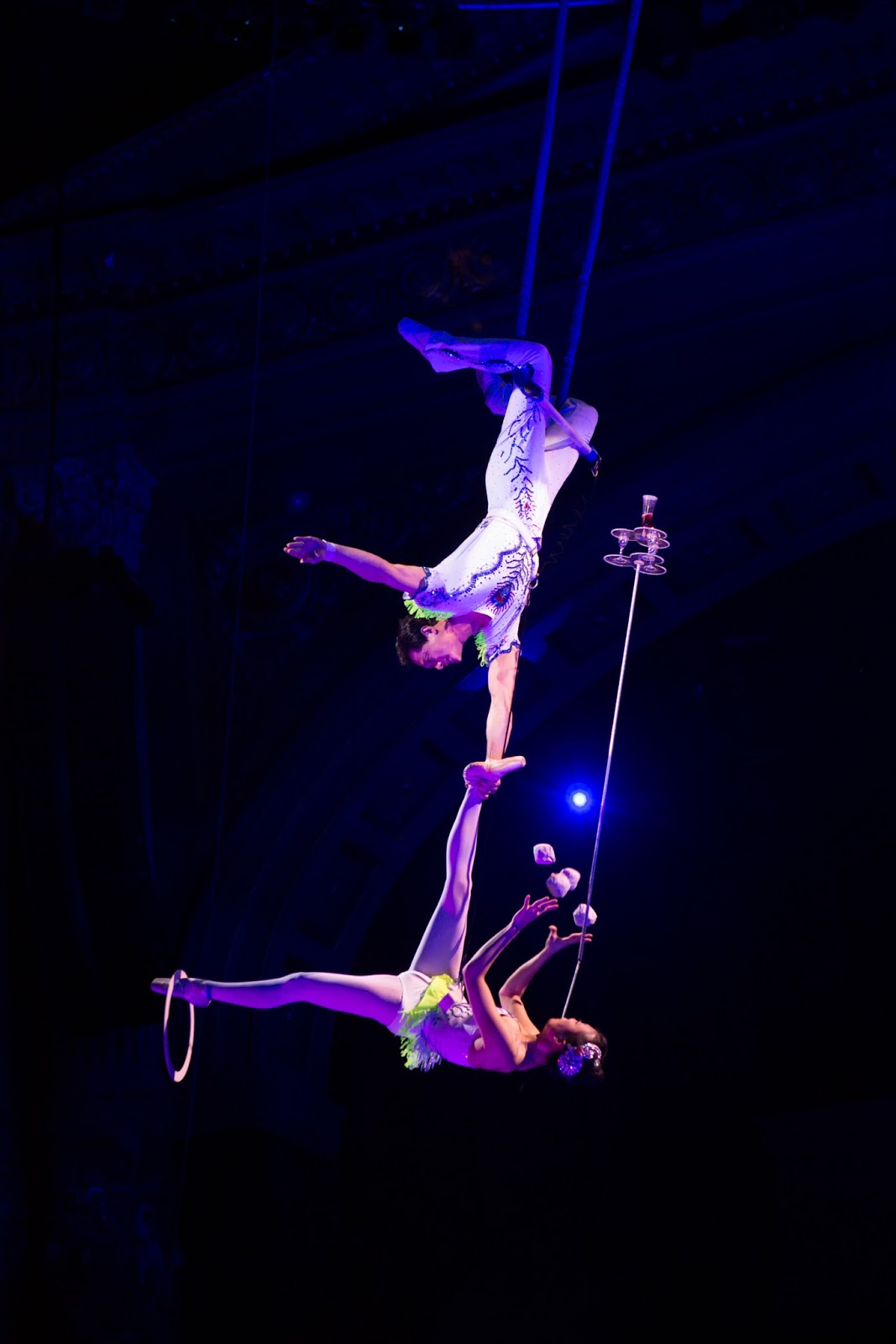 circus: Le Cirque KNIE - Tournée 2016 - Thierry BISSAT, un photographe ...