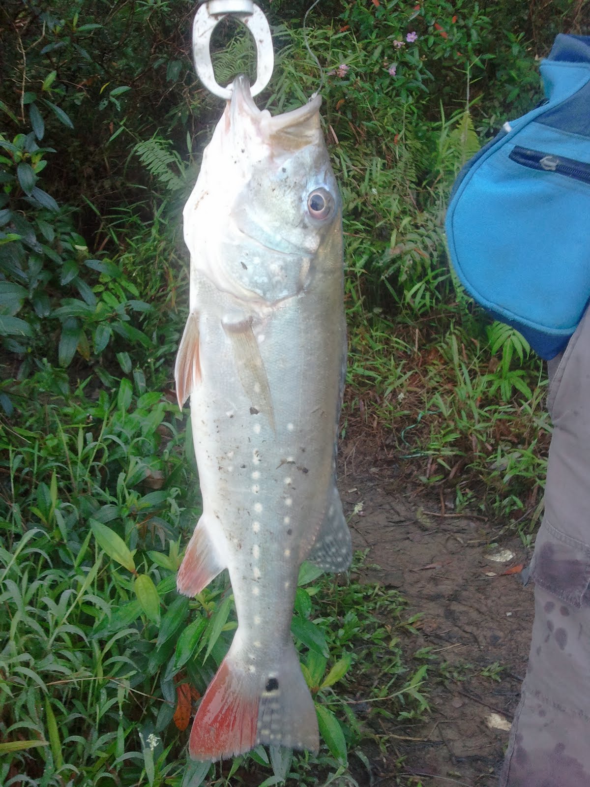 Knights Of The Sea: Fresh Water Session