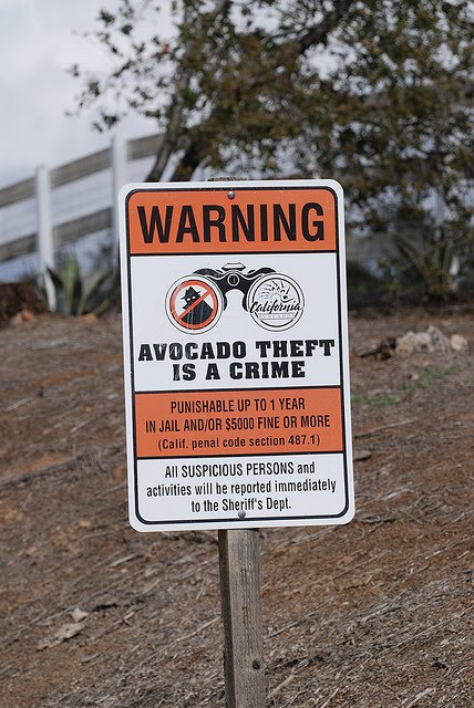 deroucicho: 25 Funny and Bizarre Warning Signs