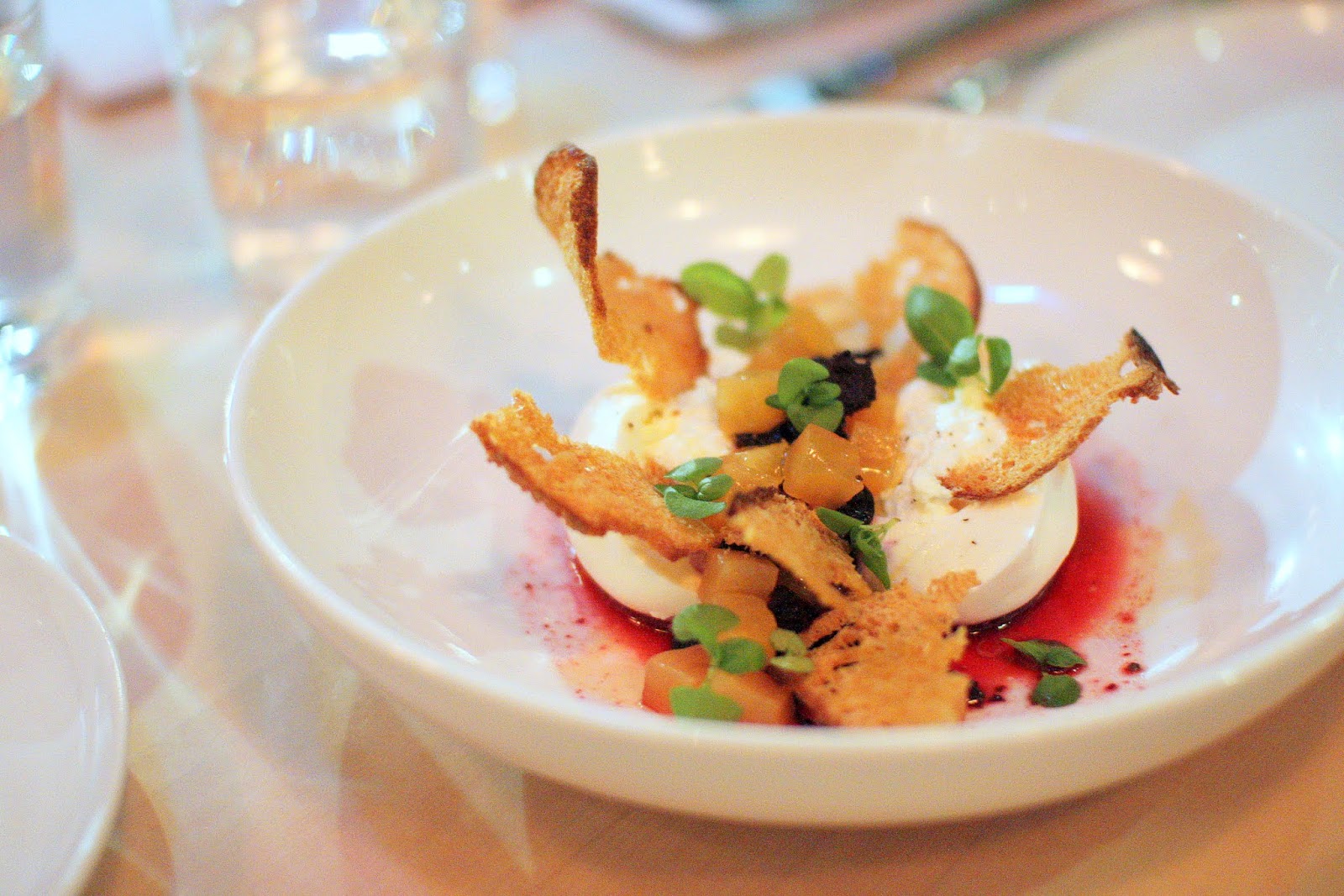 FIGO - Food Junkie Chronicles