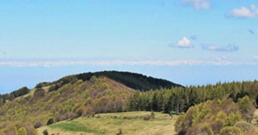 Dall'Appennino alle Alpi: Terre di Marca Obertenga