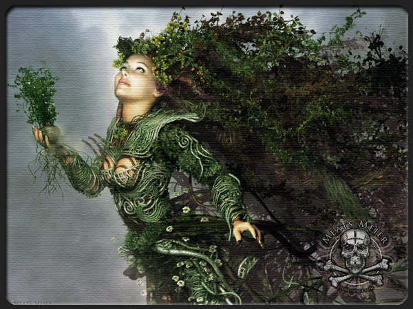 Free wallpapers: mother nature pictures