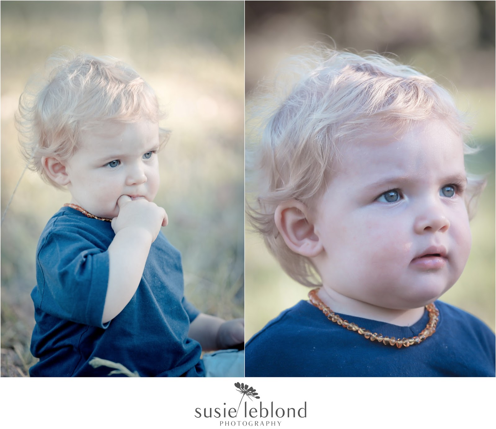 susie leblond photography: Hardiman Family