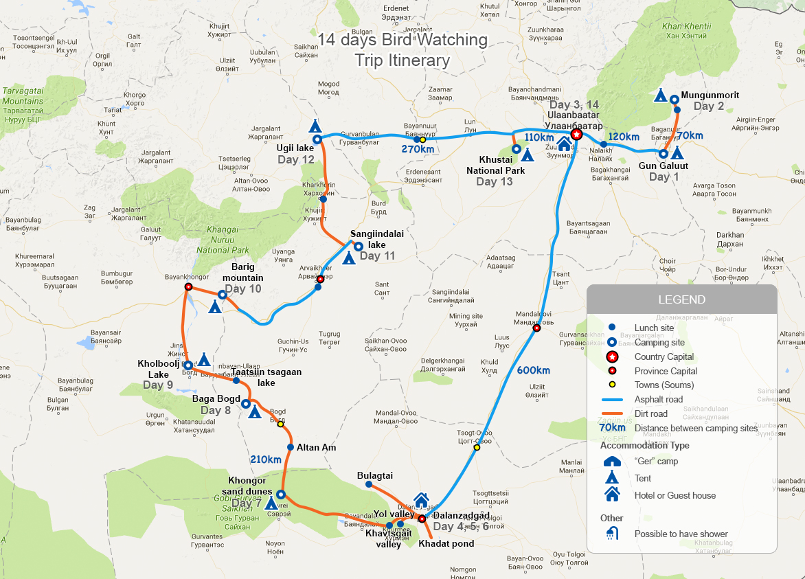 The Deskbound Birder: Mongolia - Background and Day 1 and 2 - Travel ...