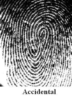 Forensics: Forensic Project Part I: Fingerprinting