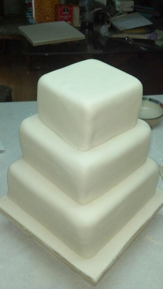 Worth While Musings: Vegan Cake Recipe and Pictures