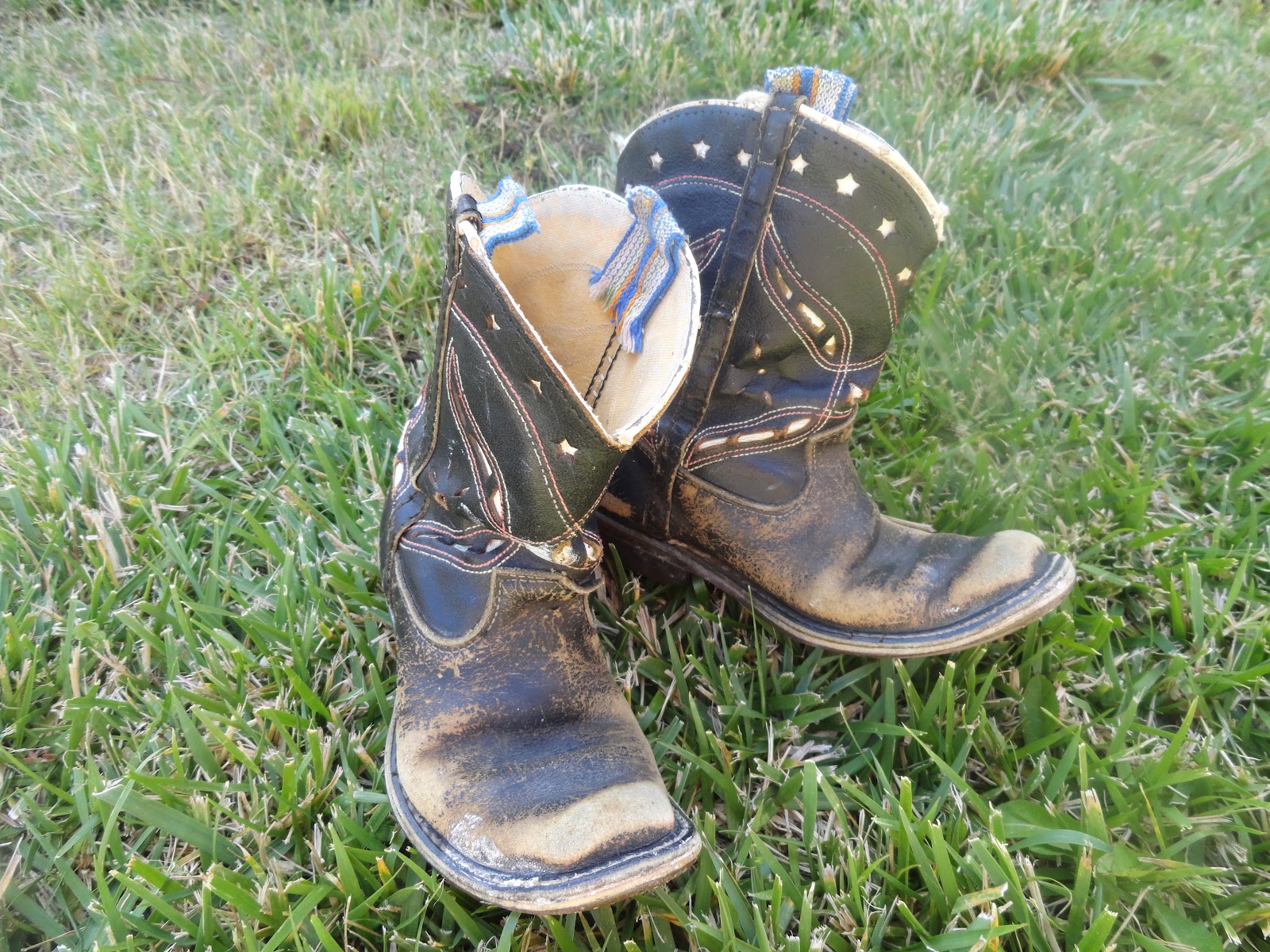 The Daily Lewis: These boots were made for walking...