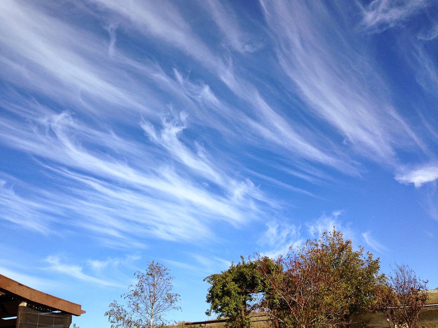 garden delights: SkyWatch - Visible Wind