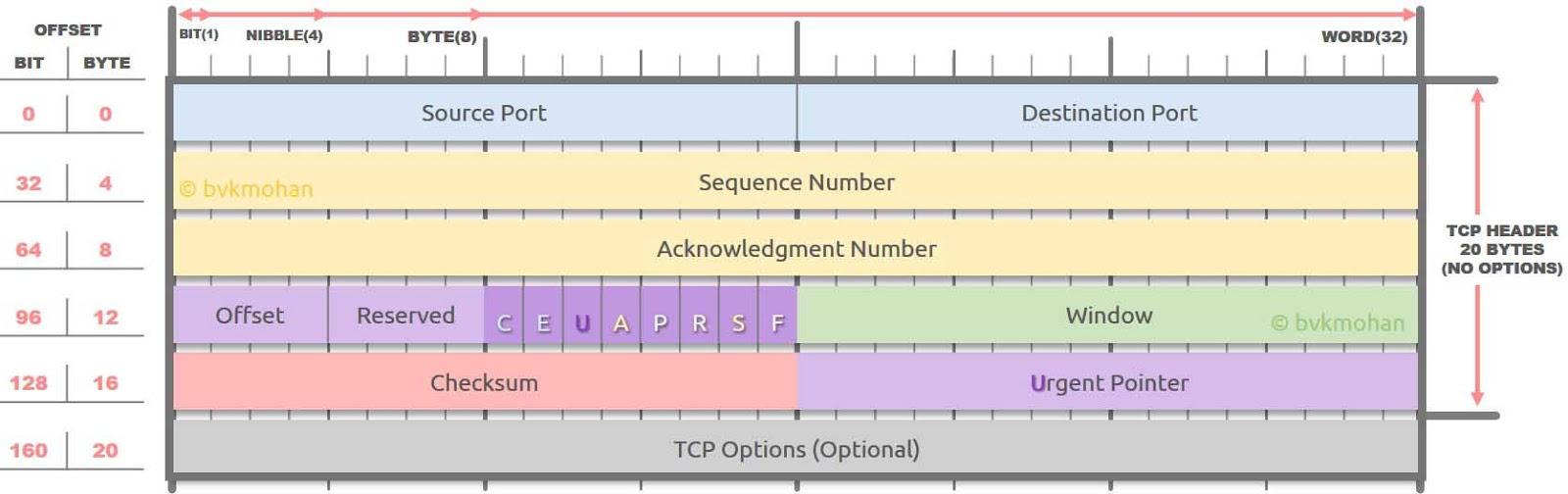 BVK Mohan's: Economics of Computer Network Overheads