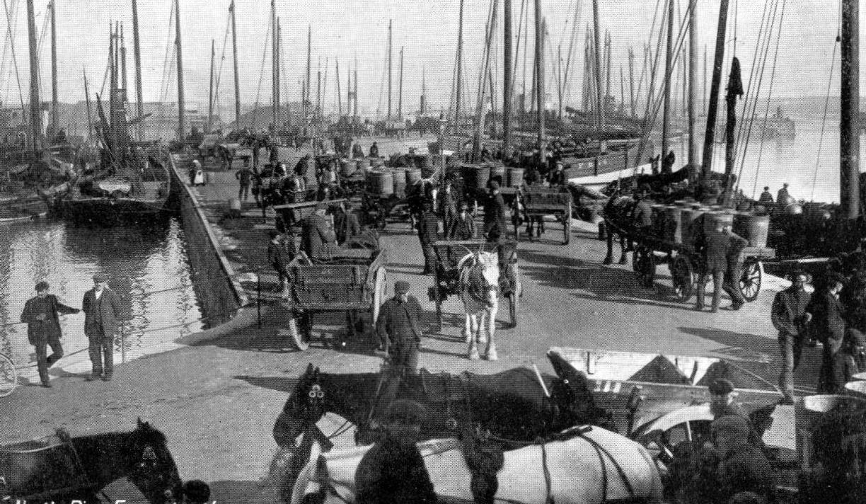 Tour Scotland: Old Photograph North Pier Harbour Peterhead Scotland