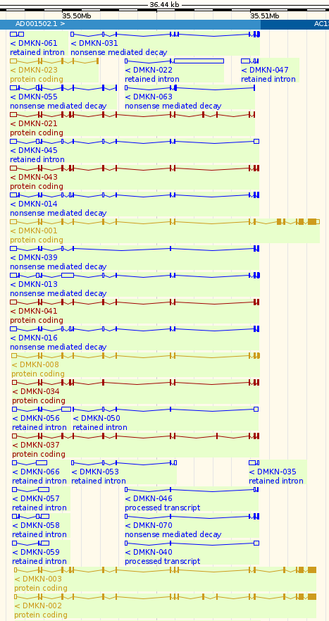 Annotables: R data package for annotating/converting Gene IDs | R-bloggers