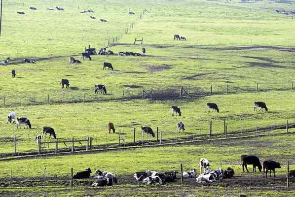 THE WESTERNER: Point Reyes ranch plan options get public airing