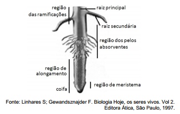 BIOLOGIA [UEPG]