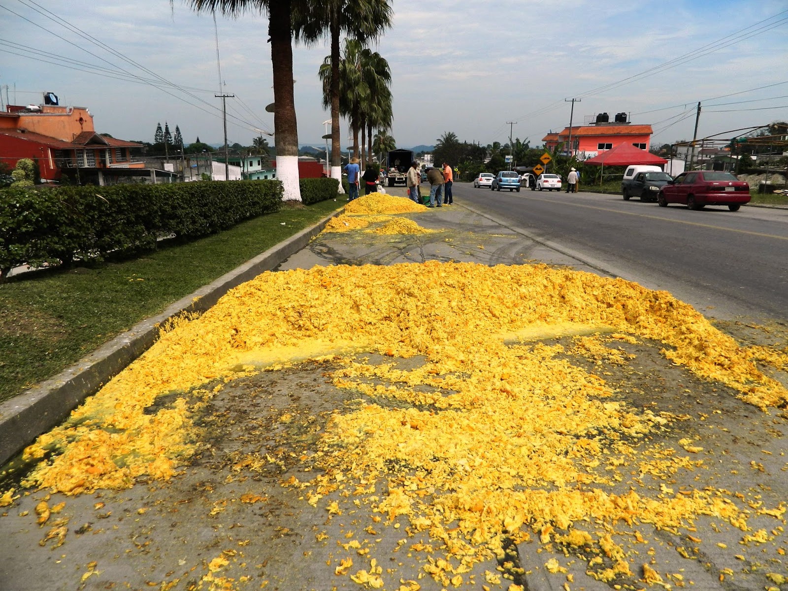 NOTICIAS TLAPACOYAN : Tiran bagazo De naranja En carretera