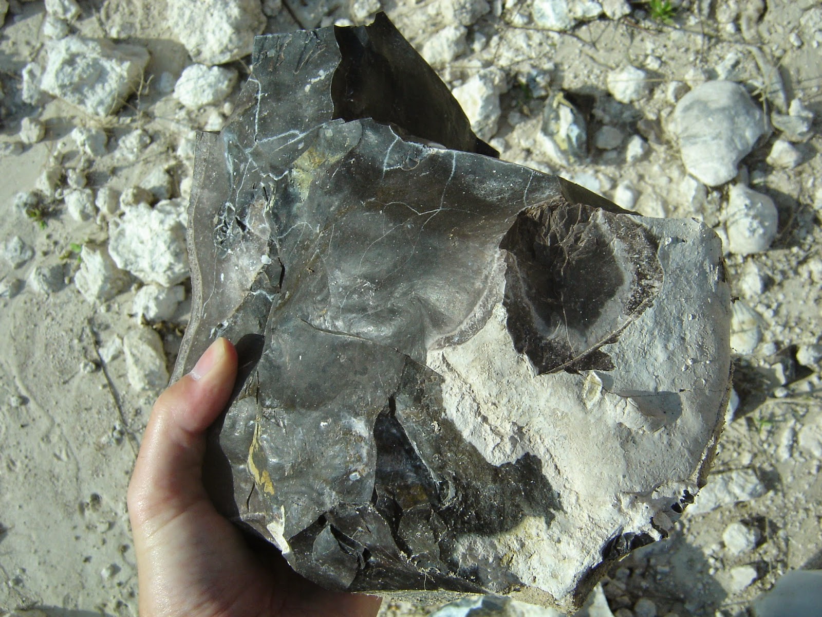 El arenero de El Cuervo (III): sílex