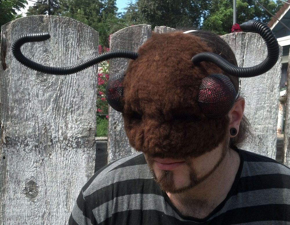 Natura Pluma Designs