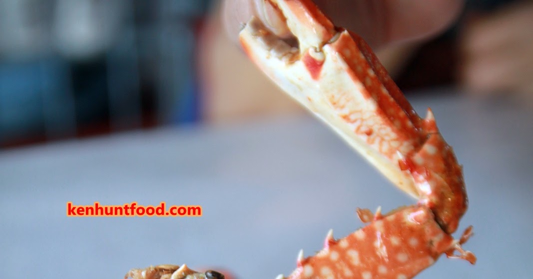recipe willy: Love Nutrient Fizzy Cafe Mee Udang- Ketam @ Bayan Lepas ...