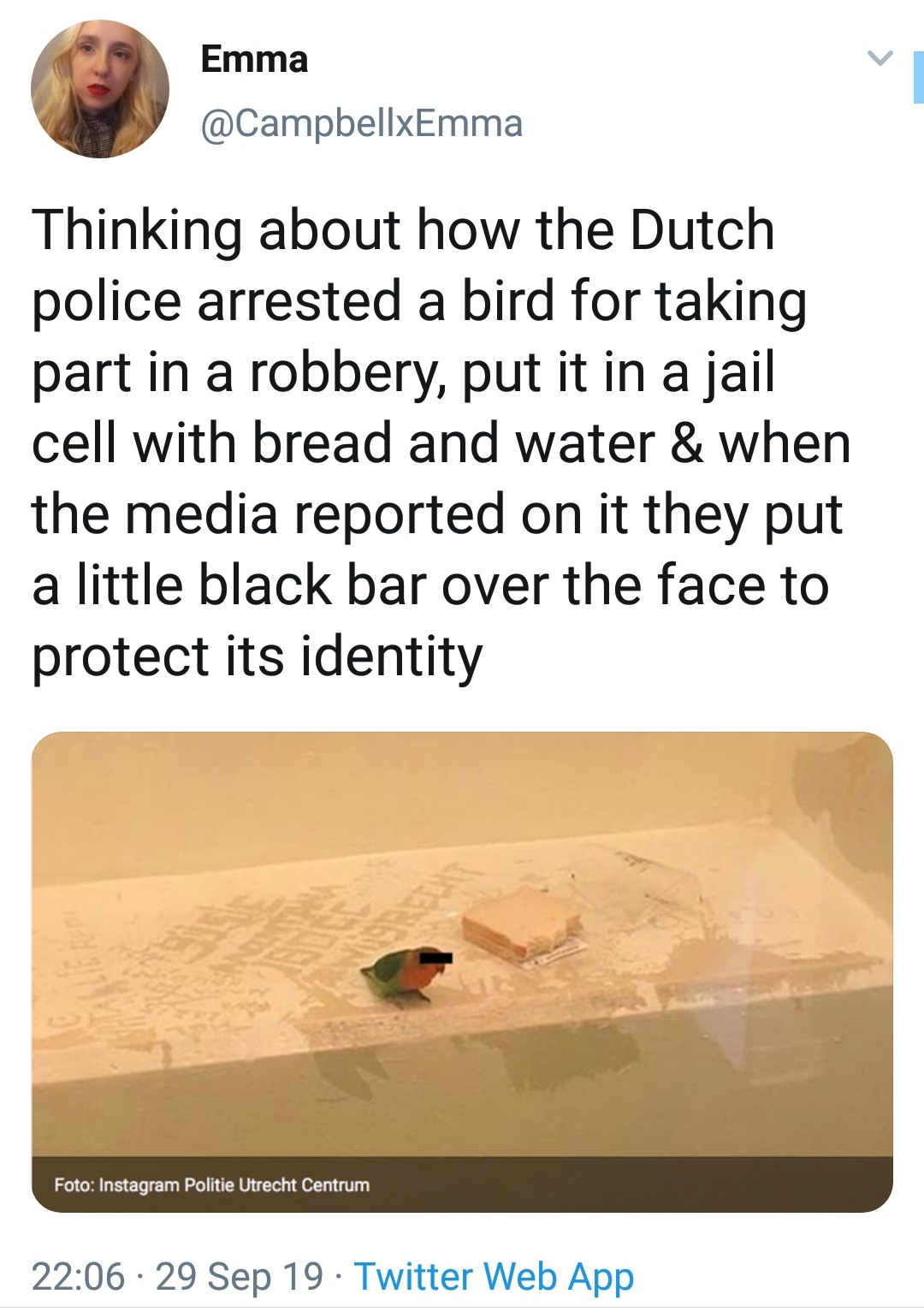 SACNS News & Analysis: Did Dutch police arrest a bird for robbery?