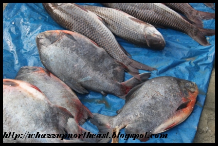 Whazzup North East India!!!: Bhogali Bihu Fish Market at Uzaan Bazaar