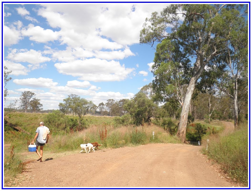 keren Mcsweeney Photography: Swim @ Mondure Crossing, Near Nanango ...