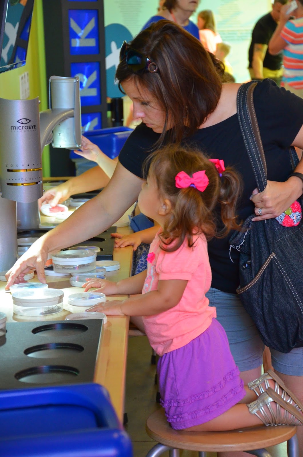 The Queen of the Kings: Austin or Bust...