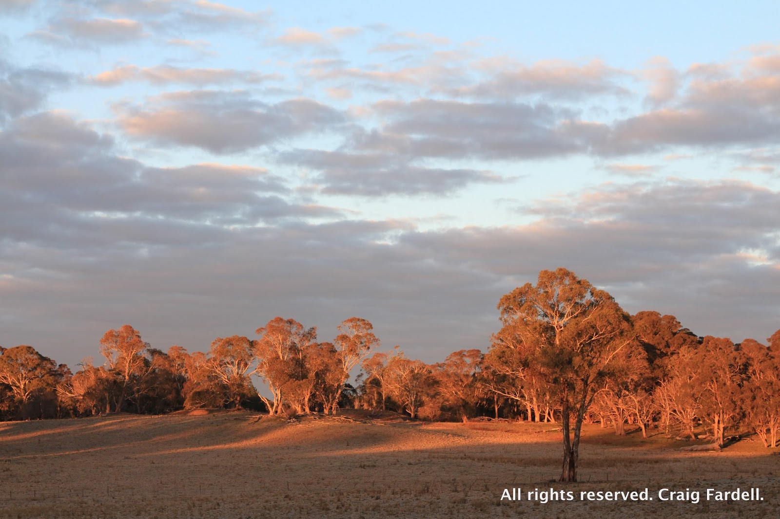 awildland: Circling the Crown - a glimpse of Warra National Park
