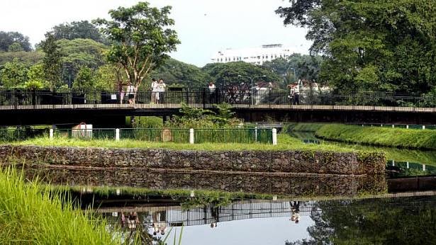 Interesting Green: Springleaf Nature Park: First of four new parks near ...