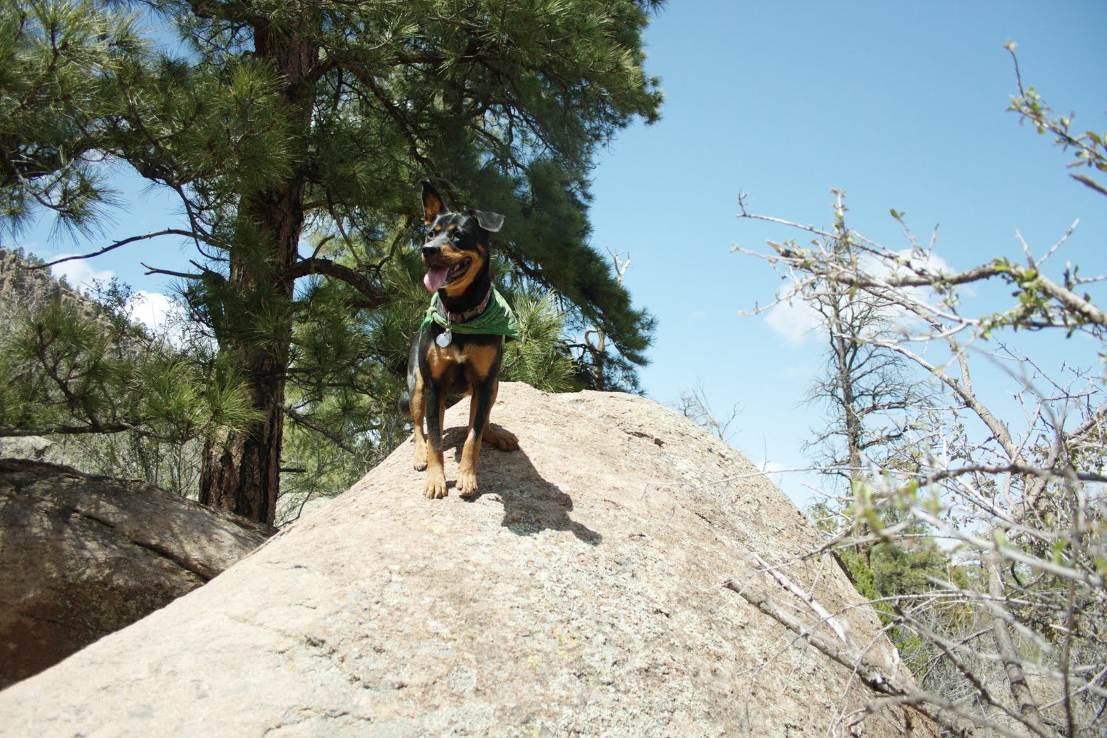 A Day In the Life Of: Fat Man's Loop, Flagstaff, AZ
