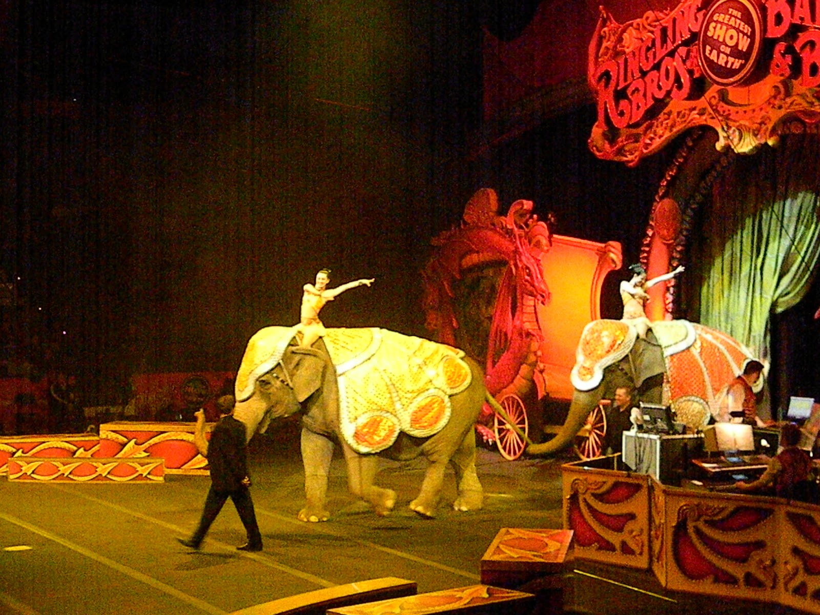 The Organic Poptart!: The Circus and Fun with Fake Flowers