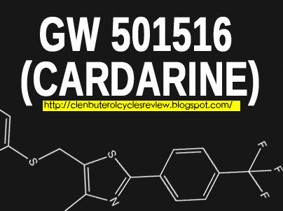 Clenbuterol Cycles Review