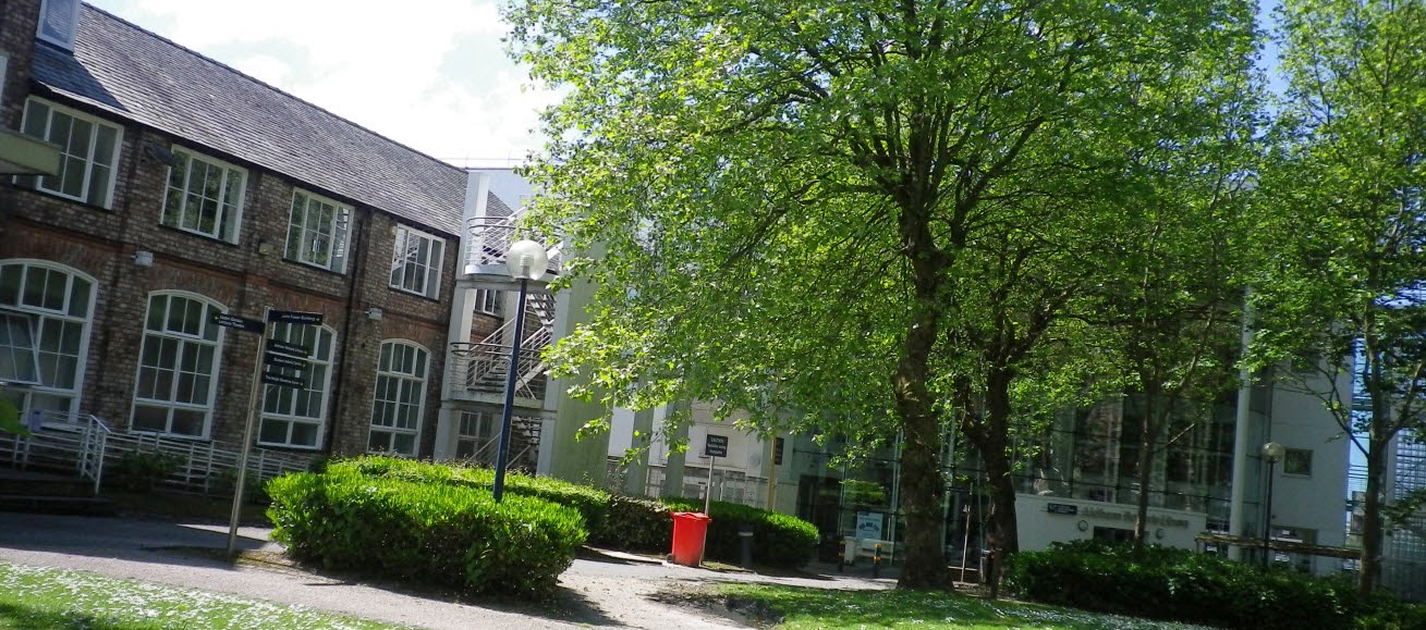 art wonder every day: The John Foster Building' garden