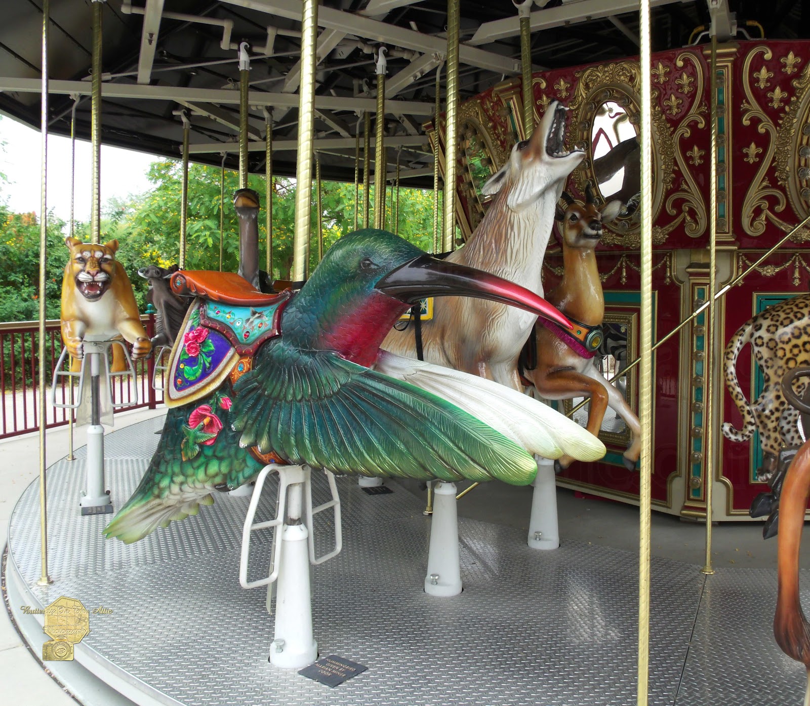 Hummingbird on Carousel - Photography by Colleen - ButterflyInTheAttic