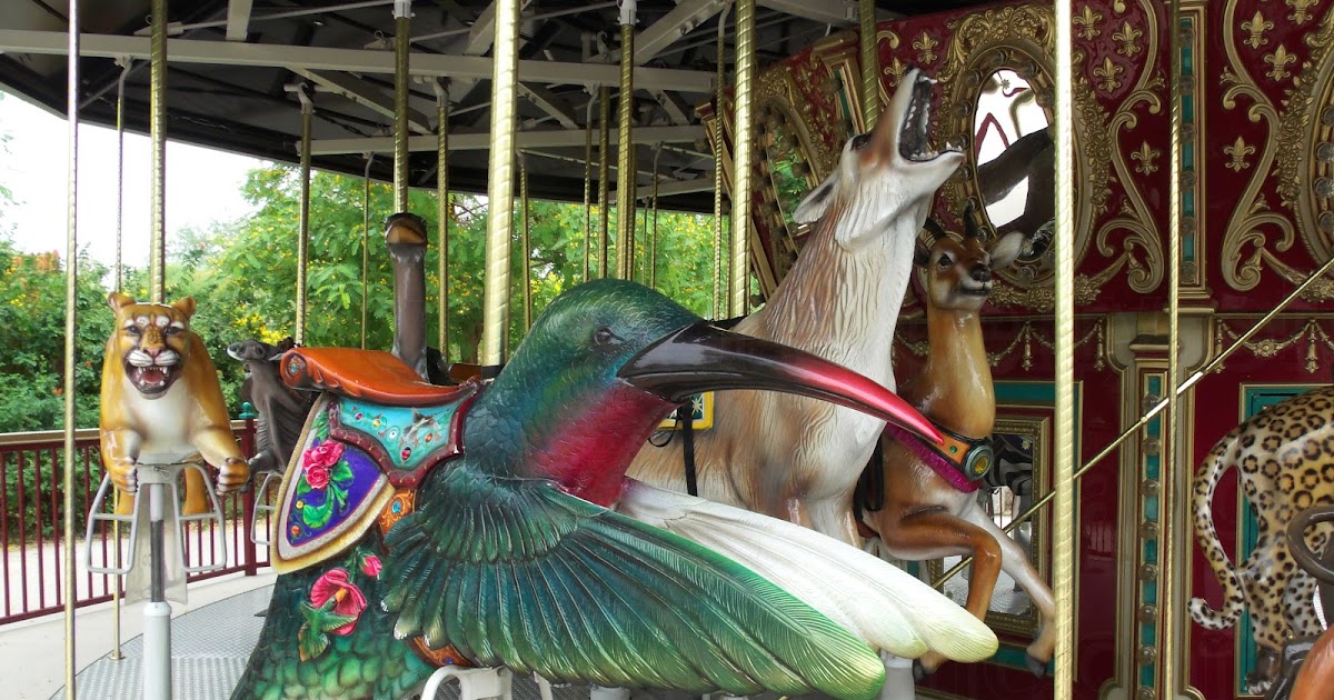 Hummingbird on Carousel - Photography by Colleen - ButterflyInTheAttic