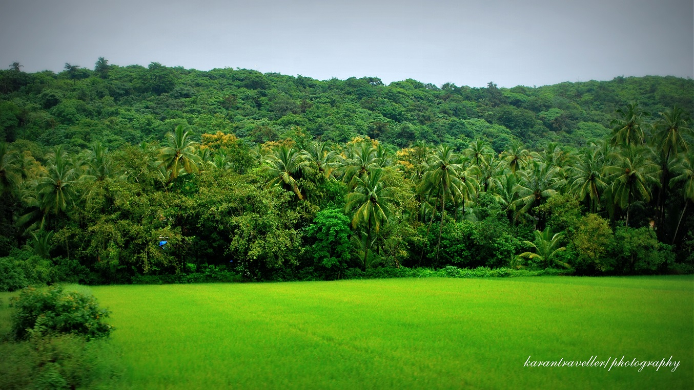 Karan's Travels!!! - A PhotoJourney: Goa In Monsoons- This Time It Was ...
