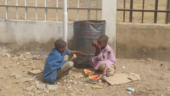 Photos: Two children spotted eating from a garbage drum in Kano