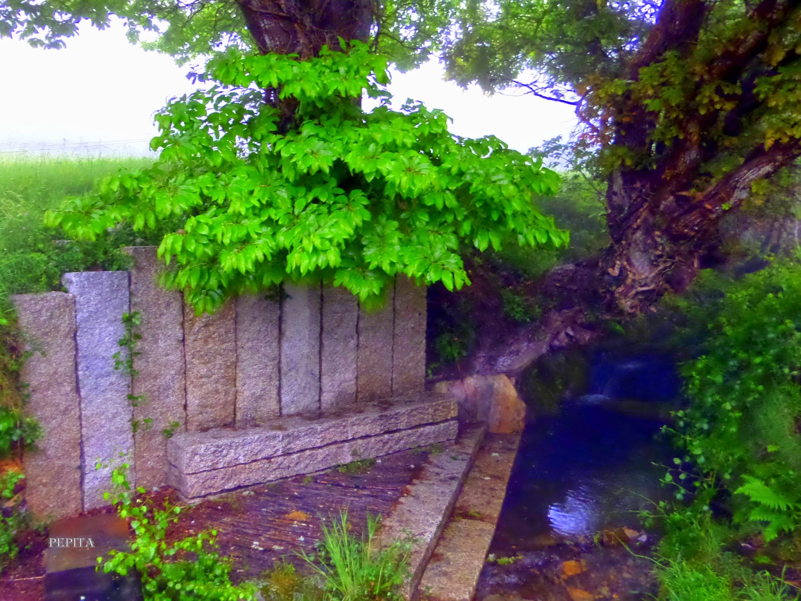 Fotografiando Cumbres: Camino de Santiago "2014"