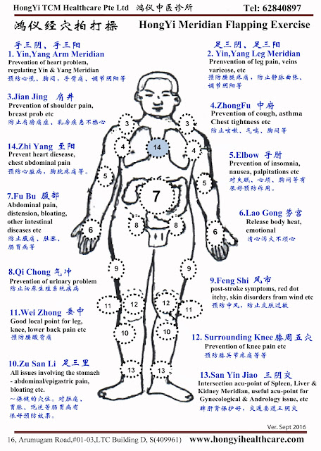HongYi TCM Healthcare Pte Ltd