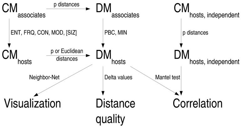 The Genealogical World of Phylogenetic Networks: Reticulation at its ...