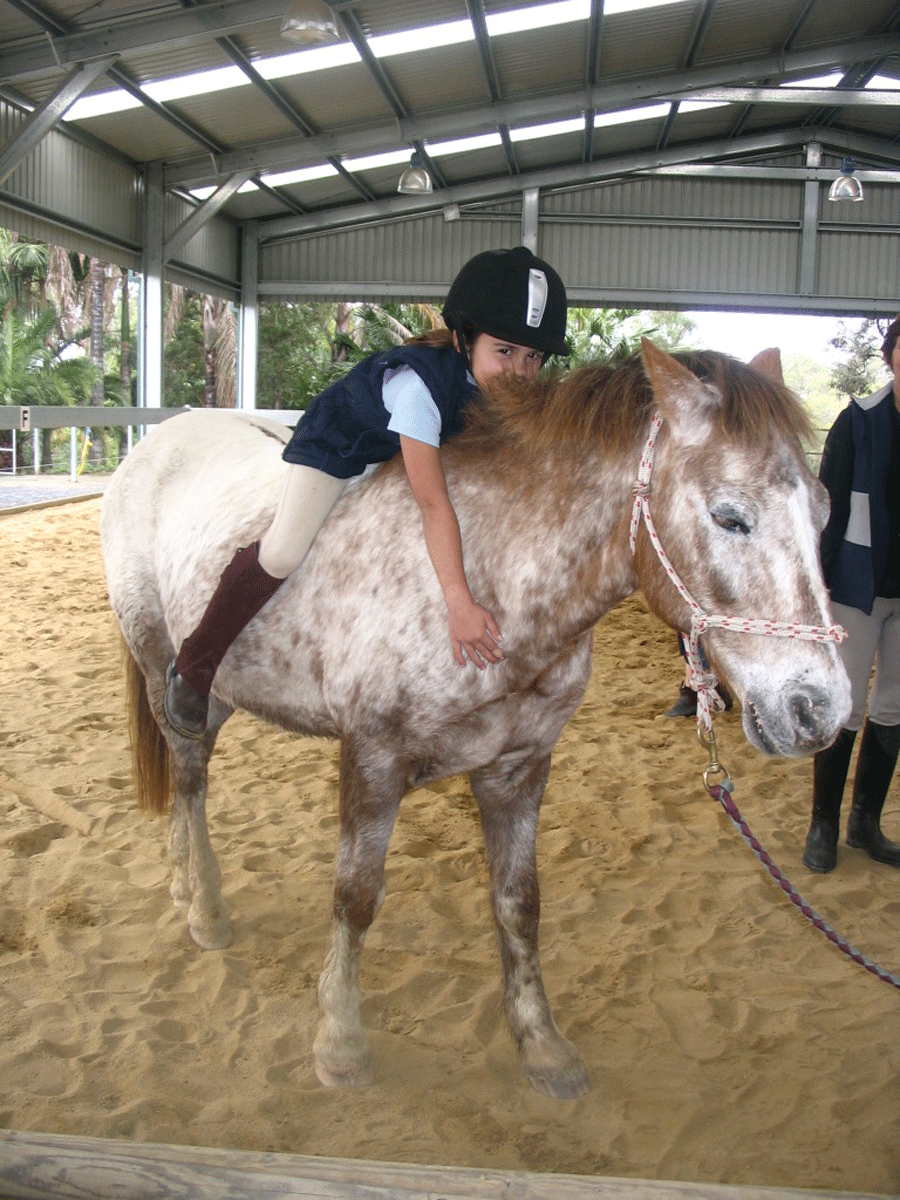 horses riding lessons | horse back riding lessons: What You Get First ...