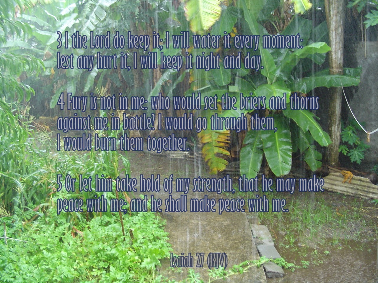 Red Pill Diaries: Isaiah 27 (KJV)