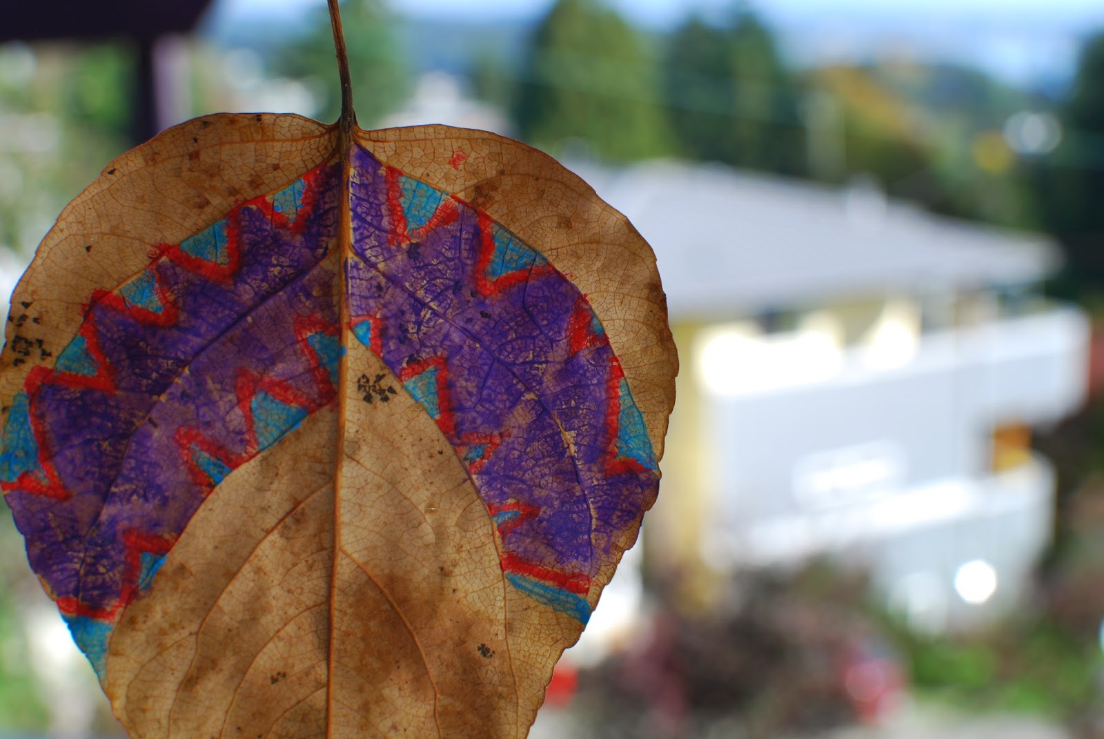 Every Single Thing About You