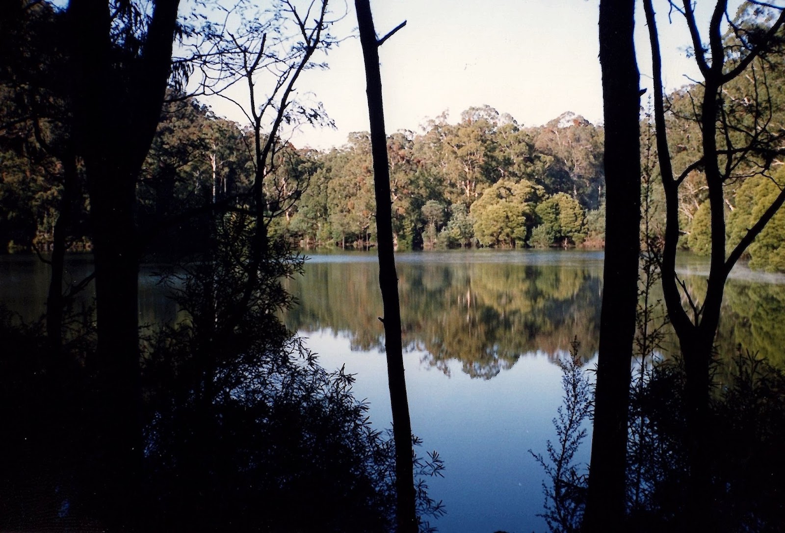 Goin' Feral One Day At A Time: Lake Tali Karng, Alpine National Park ...